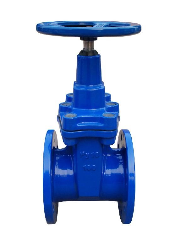 DIN F5 Flanged Ductile Mueller Gate Valves , Rising Stem Gate Valve SS410
